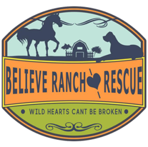 Believe Ranch & Rescue – Rescue. Love. Train. Adopt